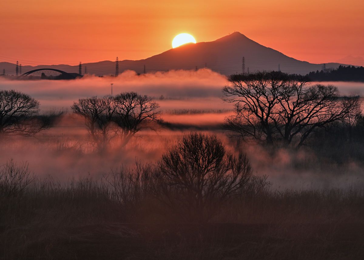 orange hour | GANREF