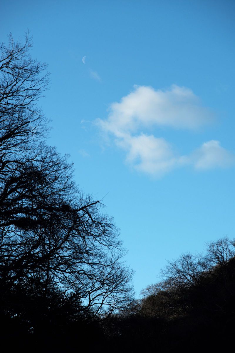 朝の月(2025.02.22.) | GANREF