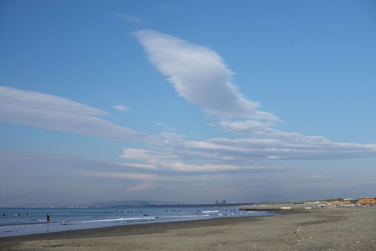 春が来た(2025.02.28.) | GANREF