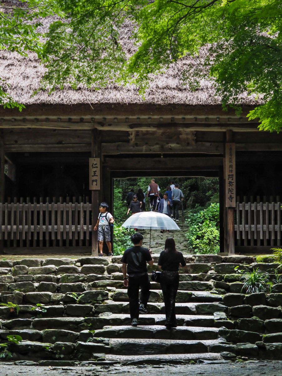 「52 Weeks Project」(18/52) 雨の阿弥陀寺 | GANREF