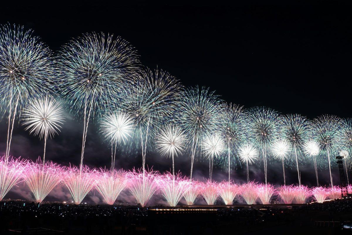 不死鳥2023 | GANREF