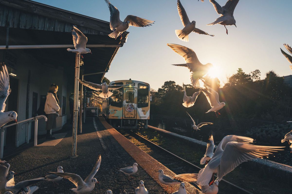 朝のお出迎え | GANREF