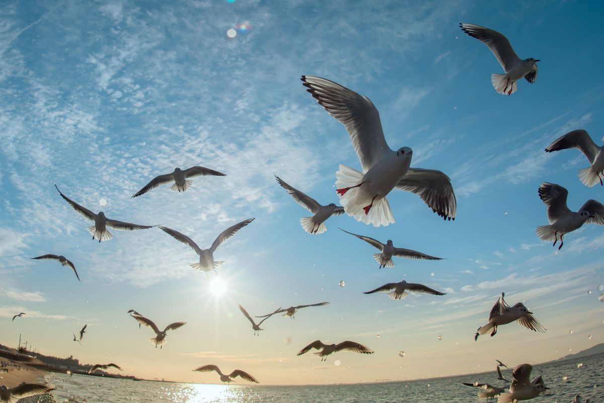 Have a good day | GANREF