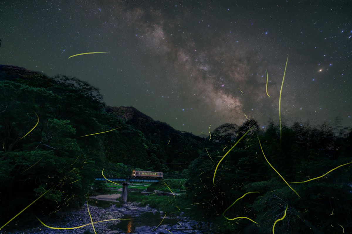 夢見心地2024 | GANREF