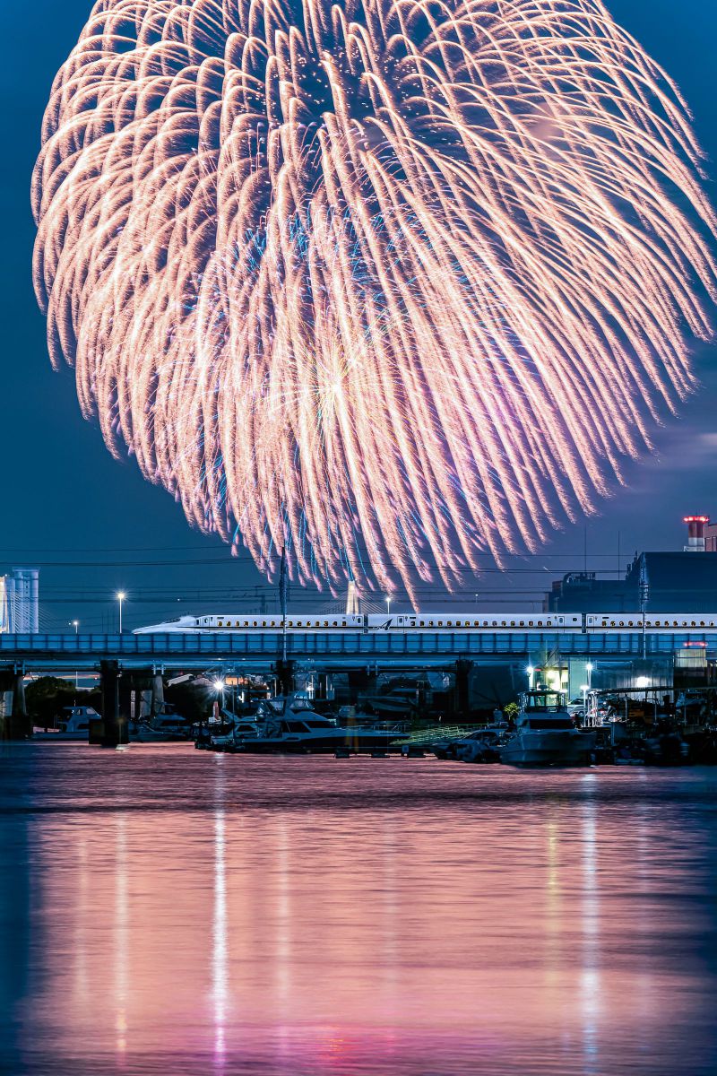 夏を駆け抜けて | GANREF