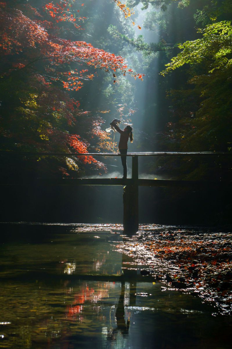 ずっと一緒、ずっと仲良し | GANREF