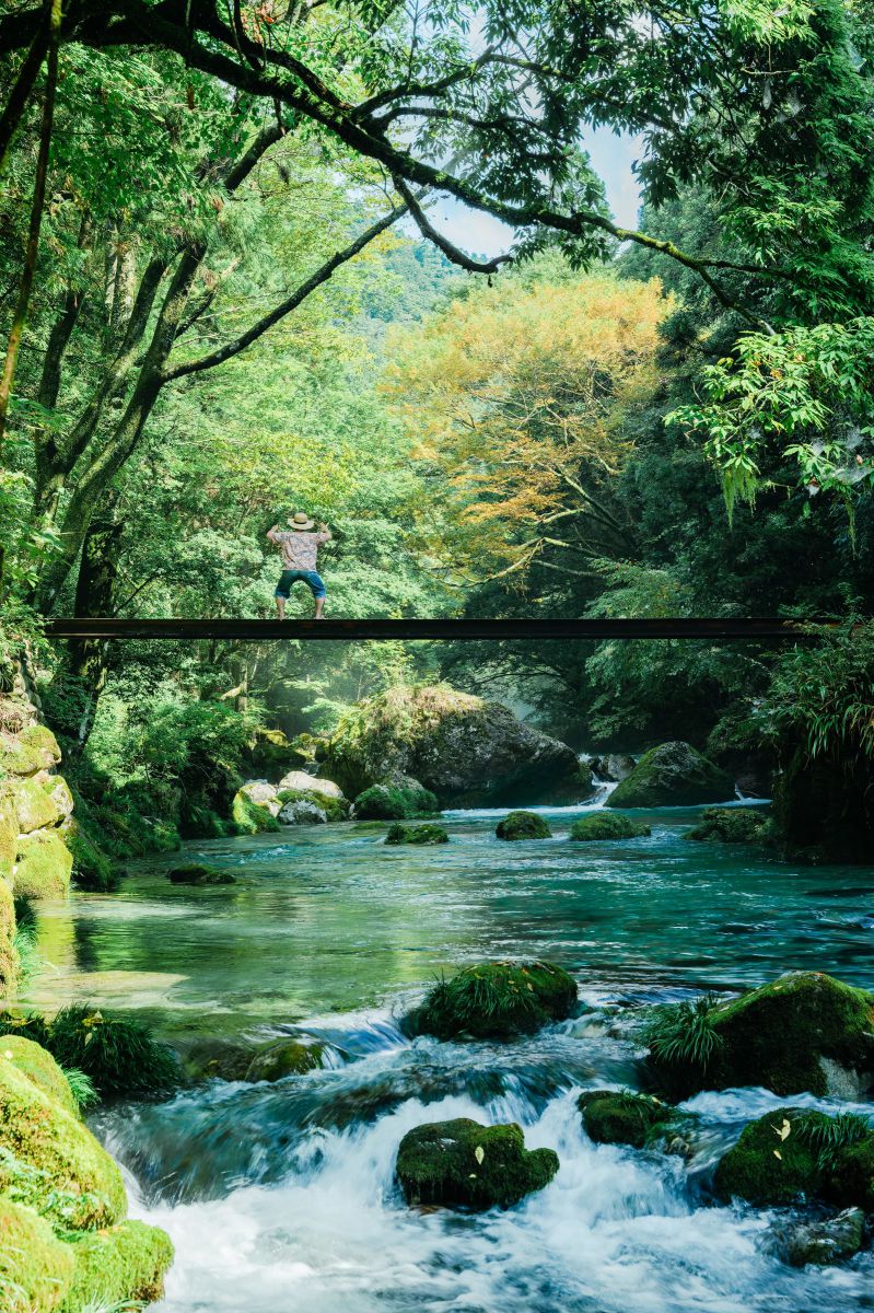 ひゃっほ～い！ | GANREF