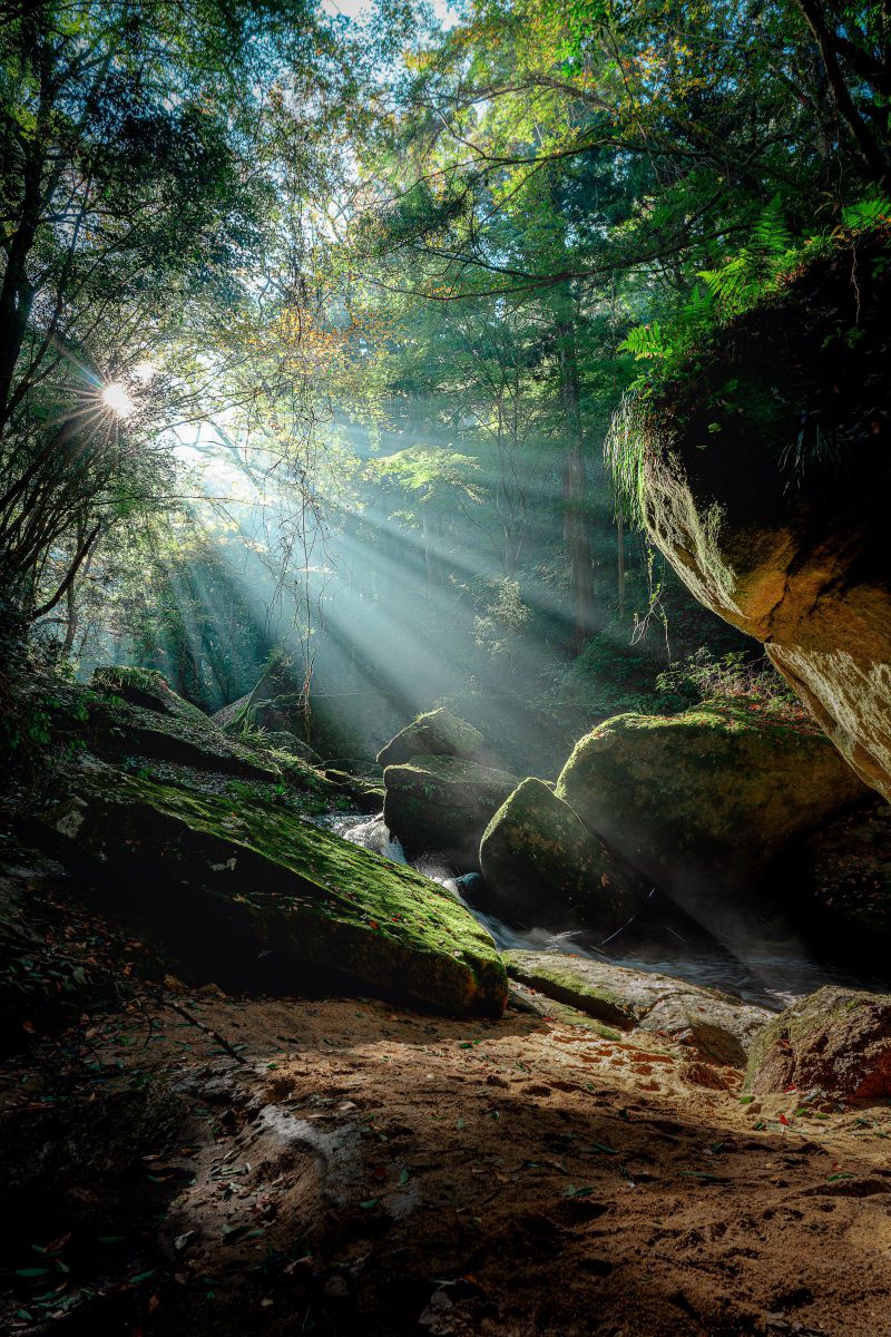 秋のしゃっき～ん | GANREF