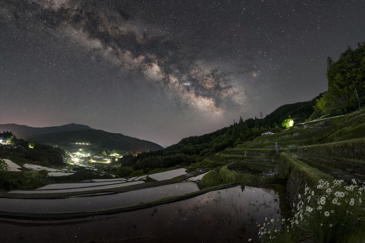 星に願いを | GANREF