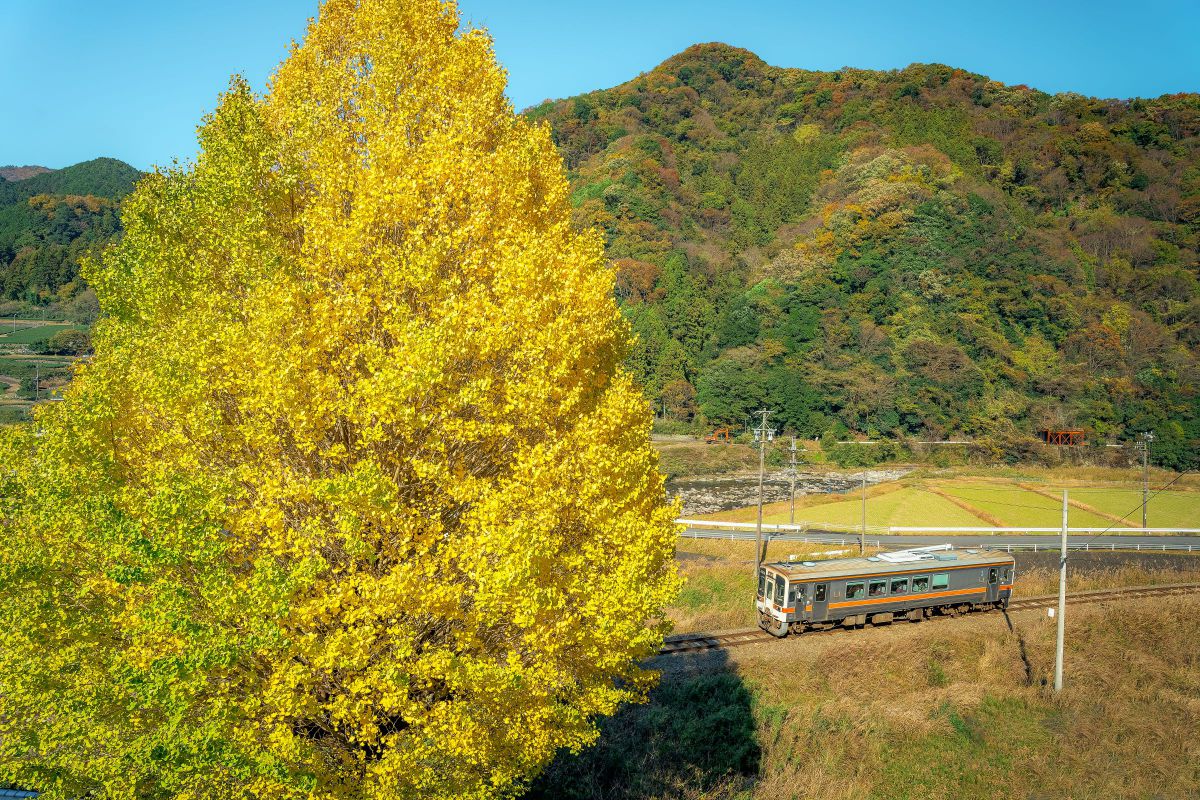 秋を行く | GANREF