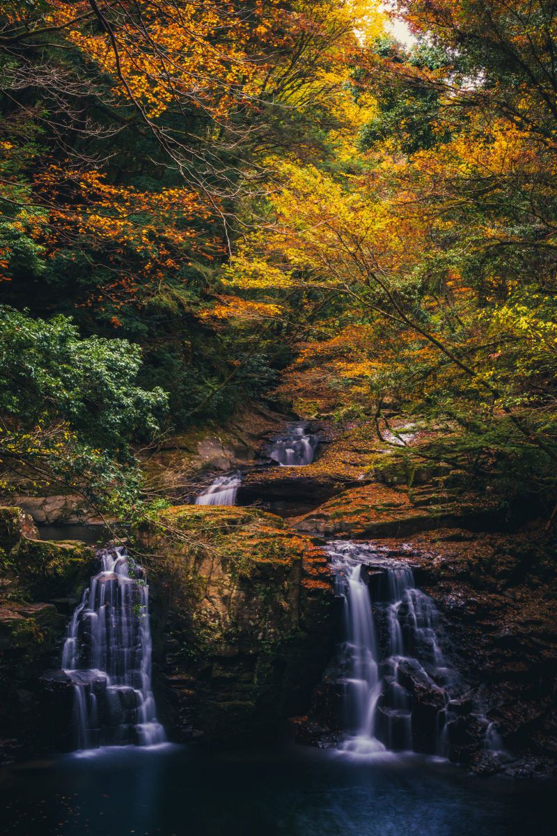 Beautiful japan | GANREF