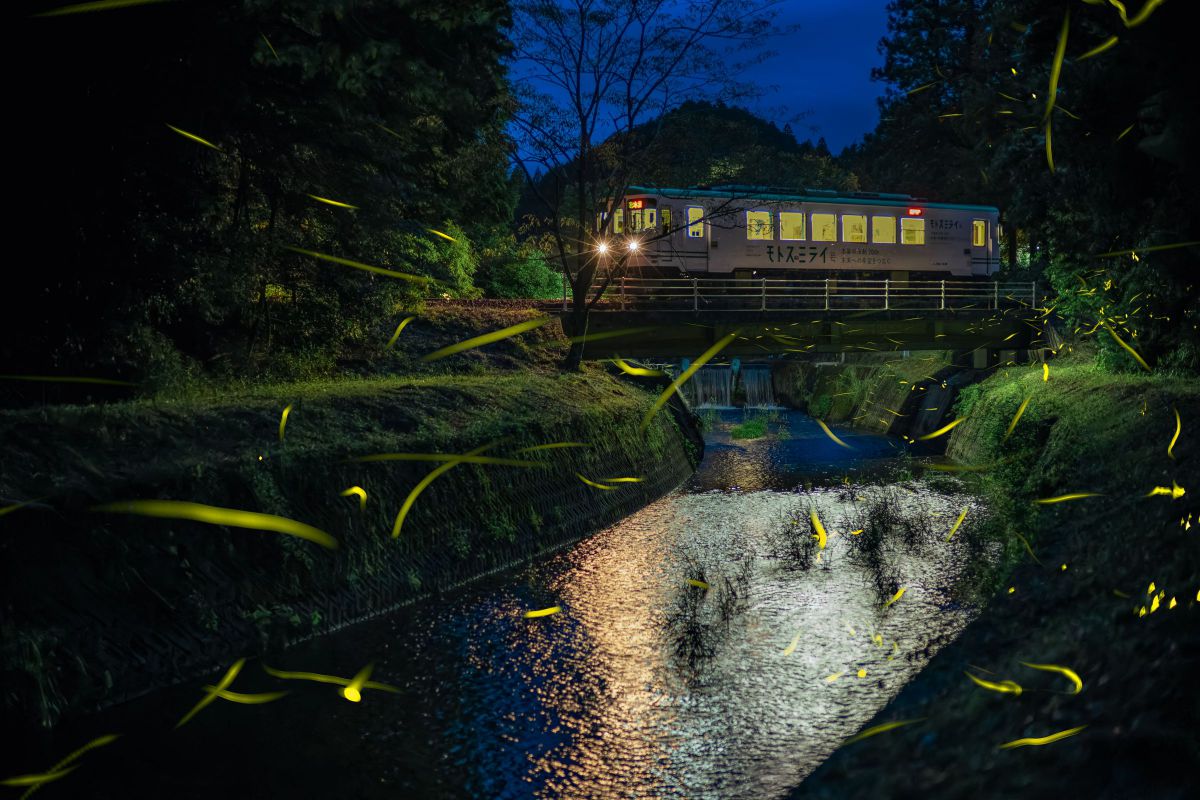 夢見心地2024 | GANREF