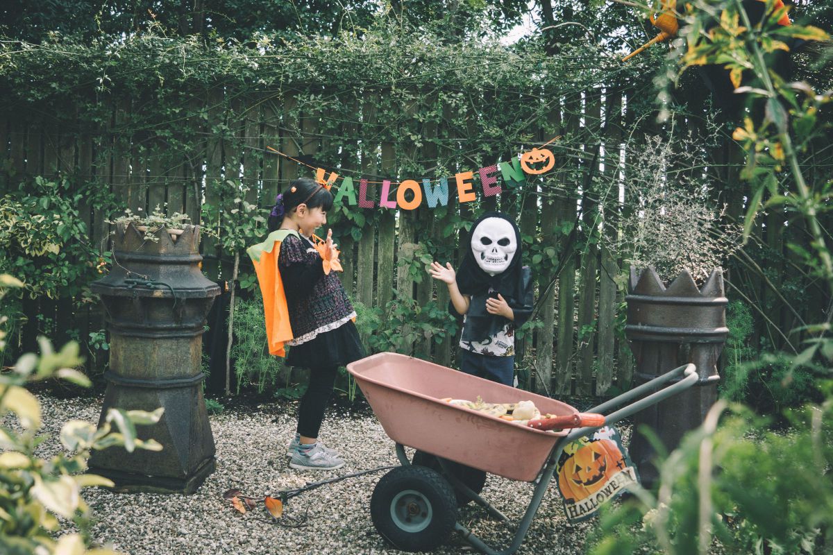 Happy Halloween | GANREF