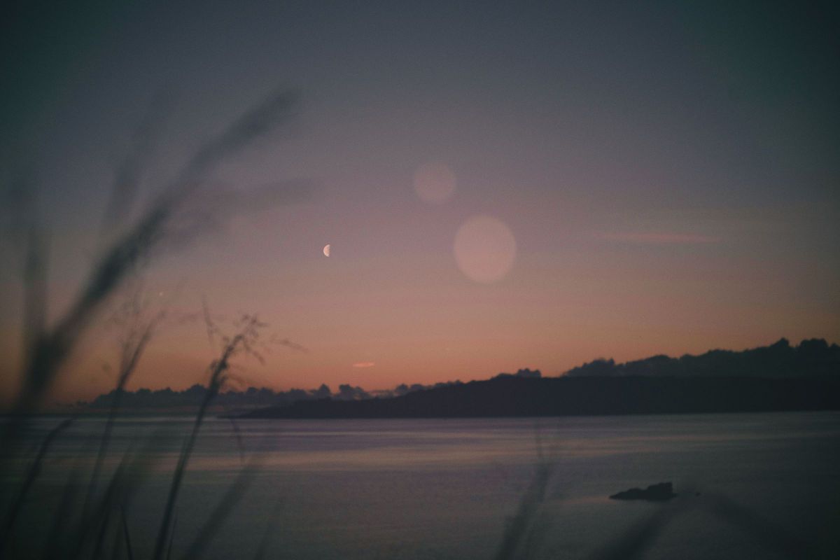 dusk til dawn | GANREF