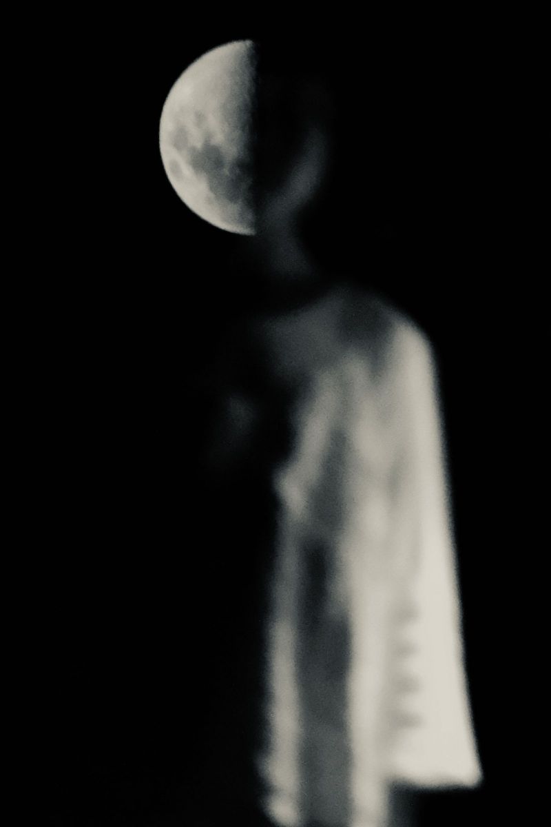 half moon girl | GANREF