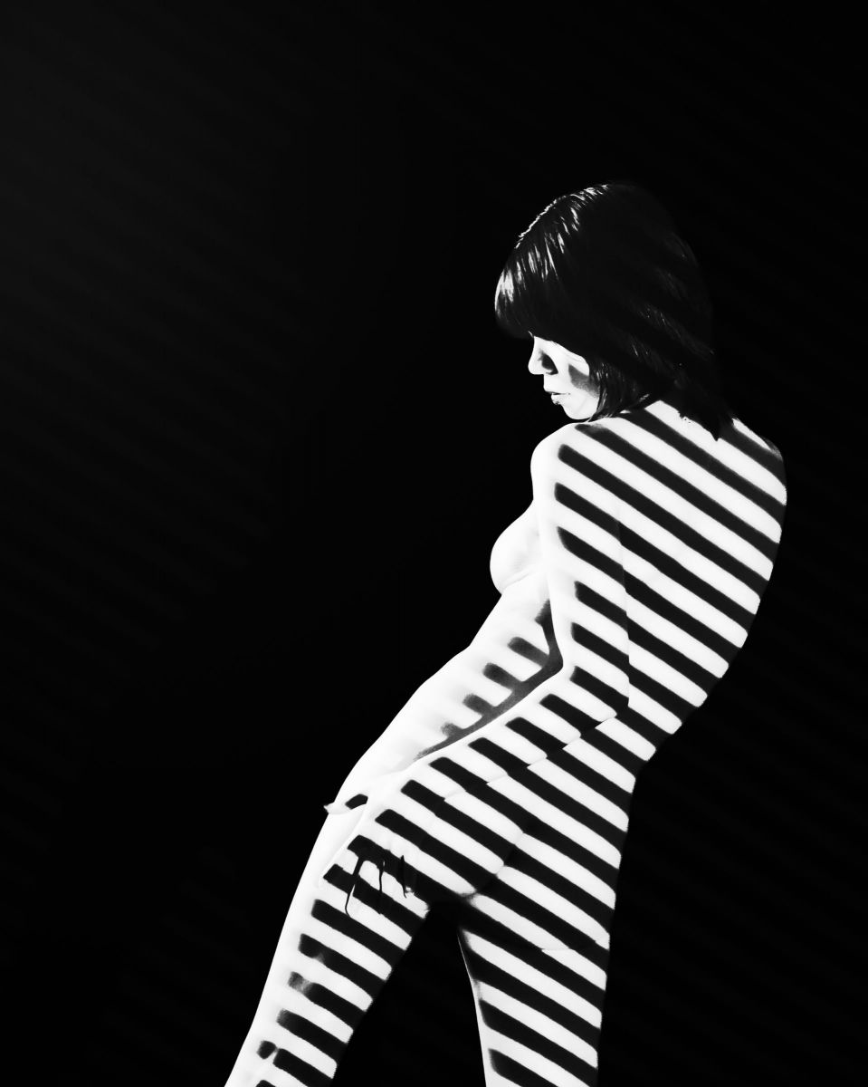 Curves in Stripes, Lines Between Us | GANREF