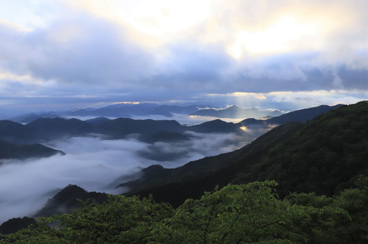 雲海2023-4.jpg | GANREF