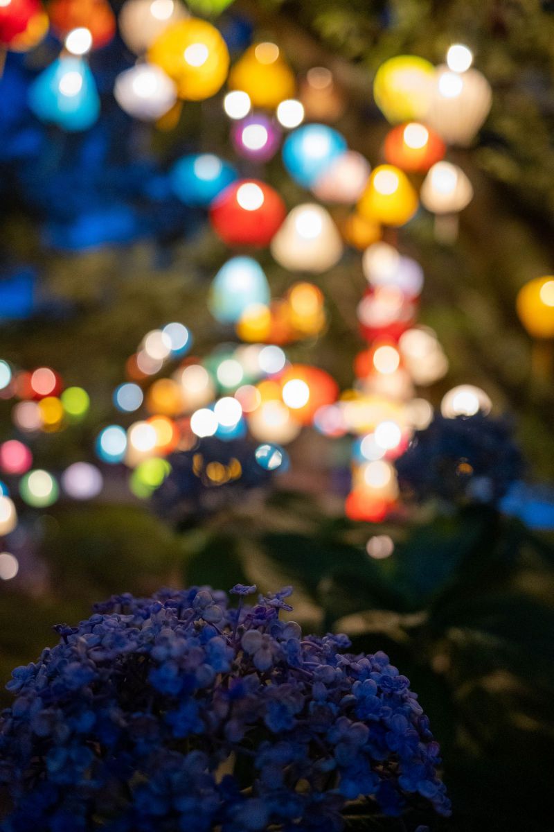 lantern night | GANREF