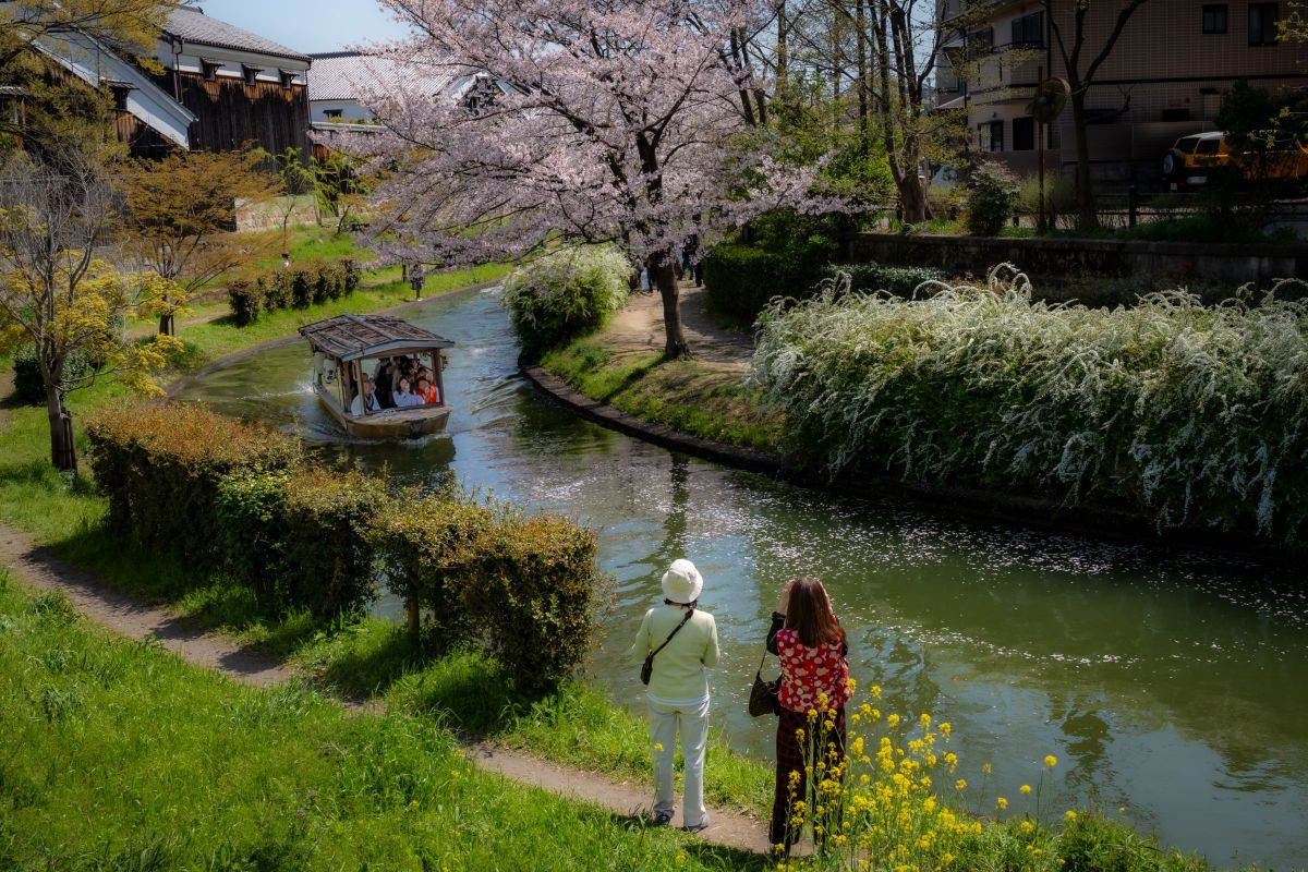 来た来た～♬ | GANREF