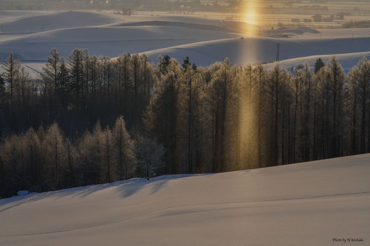 美瑛・富良野の四季 冬編22 | GANREF