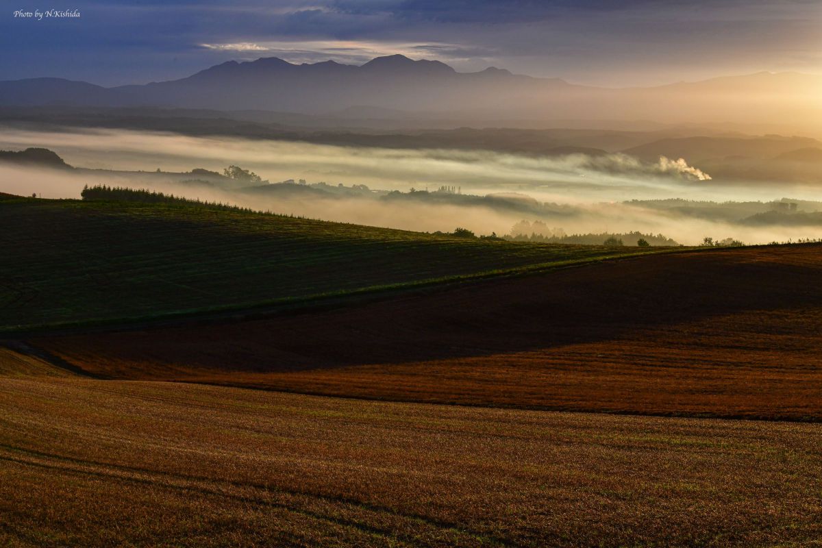 美瑛・富良野の四季 夏編27 | GANREF