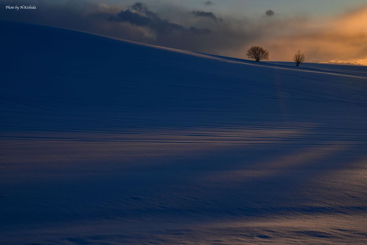 美瑛・富良野の四季 冬編42 | GANREF