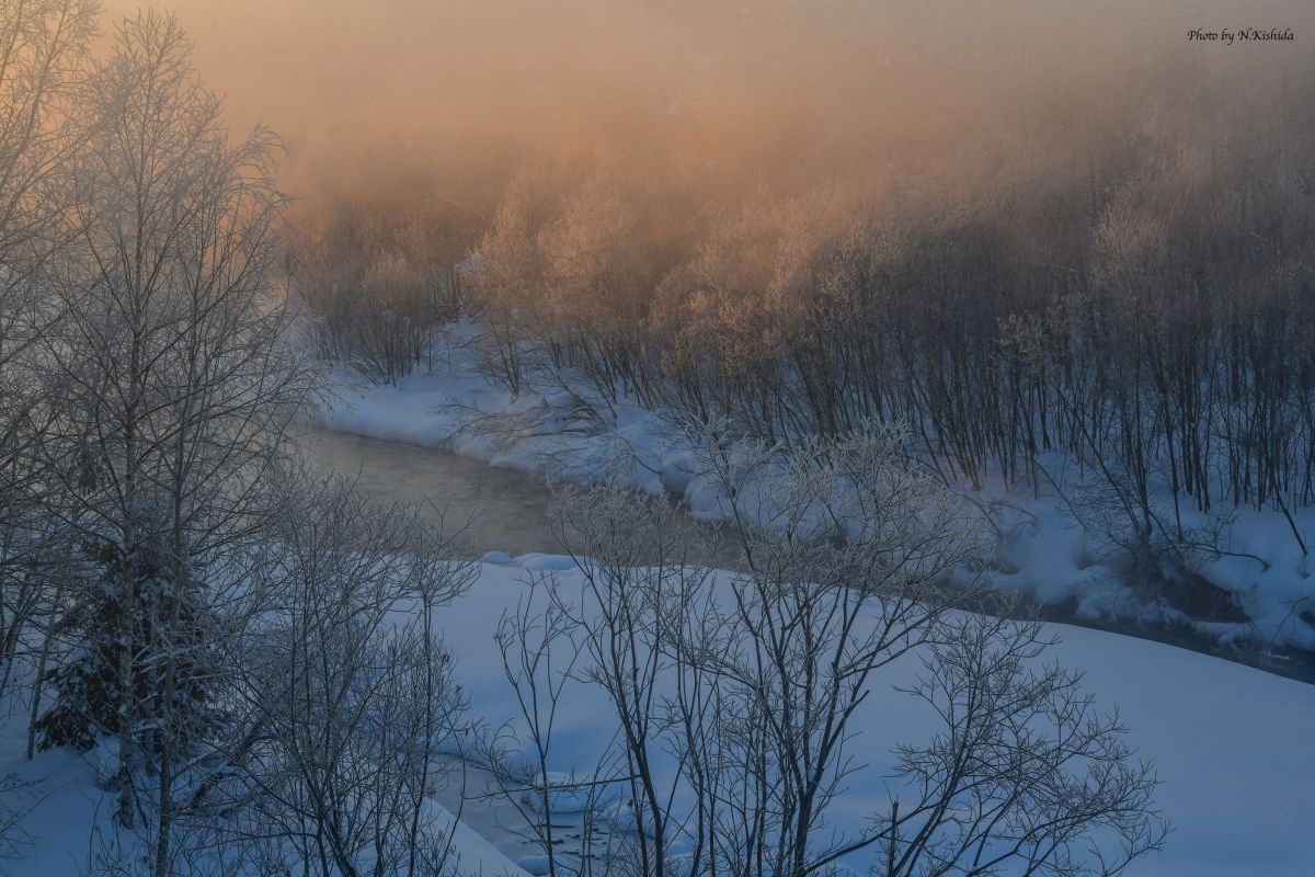 美瑛・富良野の四季 冬編37 | GANREF