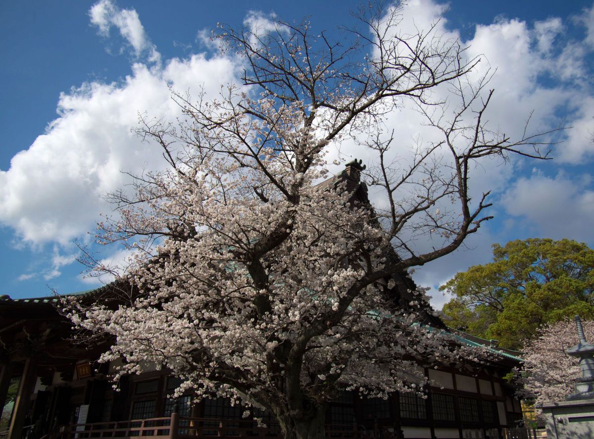 もう少し | GANREF