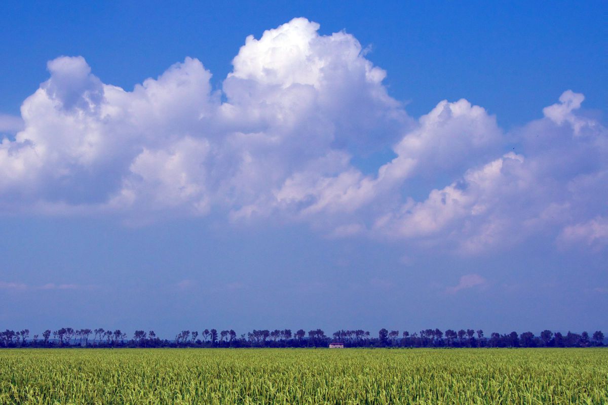 大潟村2007 | GANREF