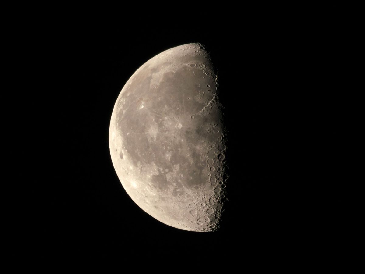 二十二夜 | GANREF