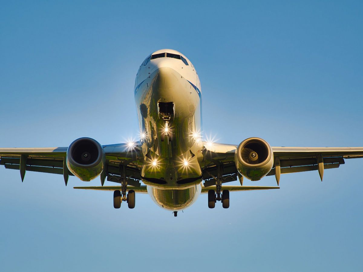 目の前の大迫力 | GANREF