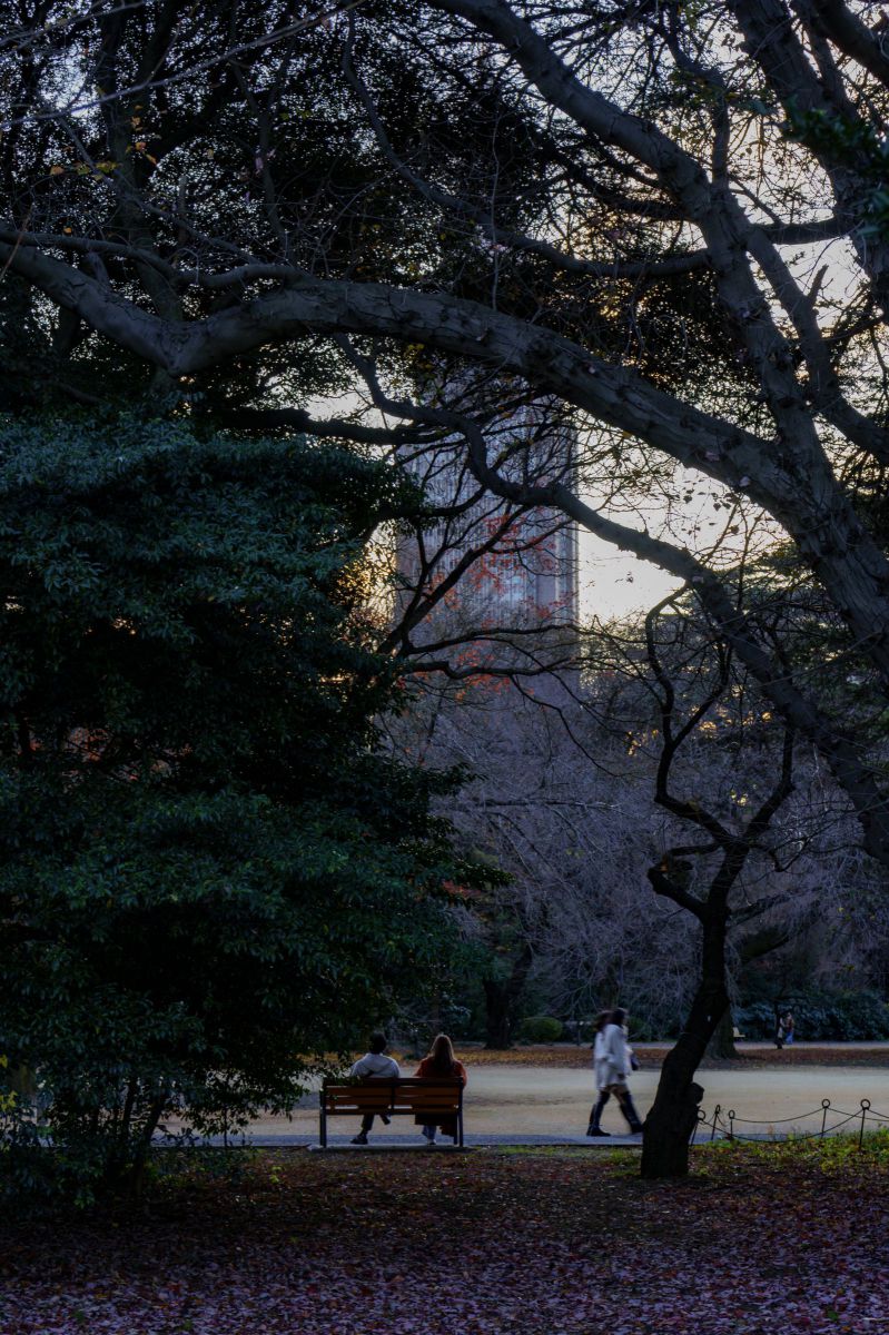 weekend in the park | GANREF