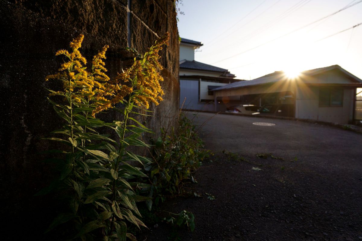 α7C Shake Down | GANREF