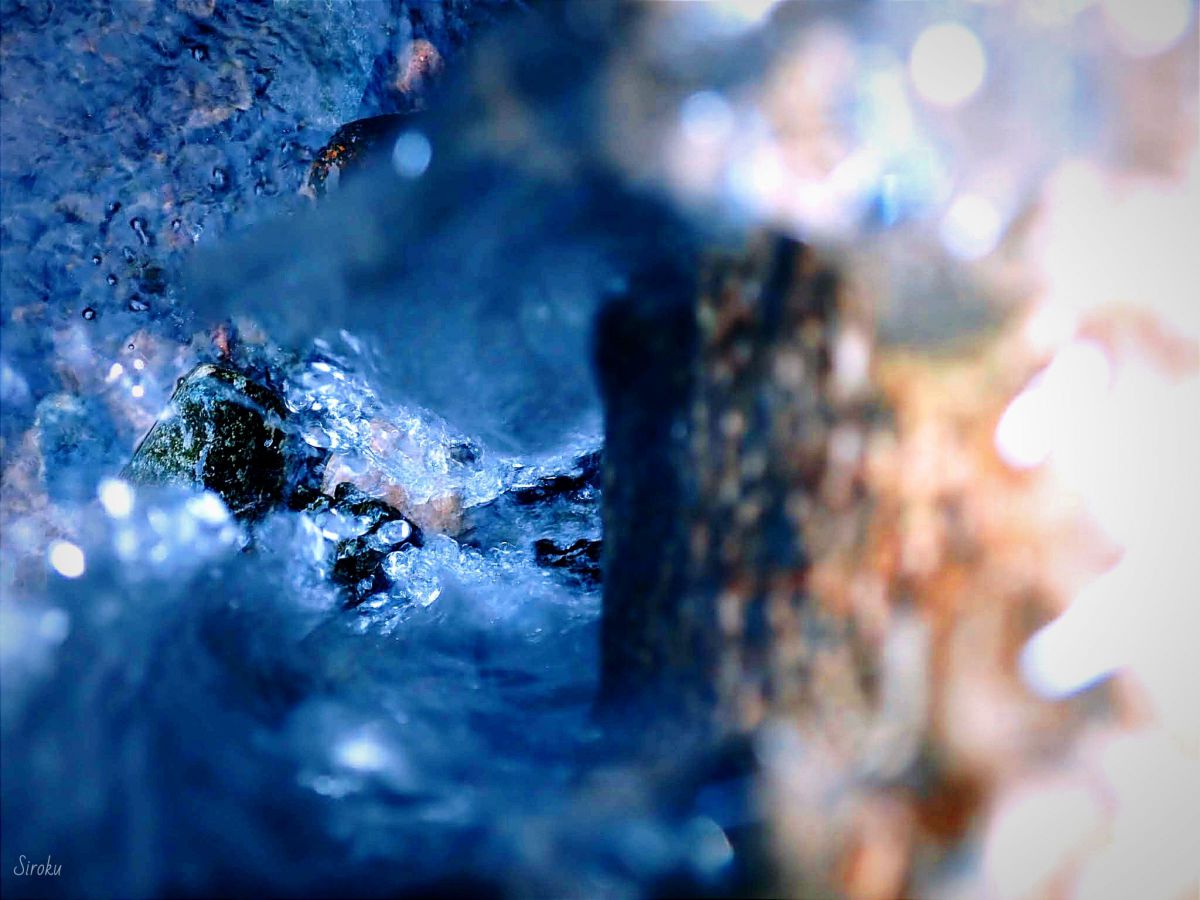 in the river | GANREF