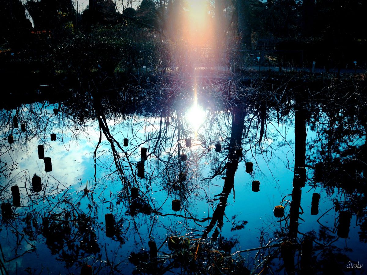 cobalt blue | GANREF