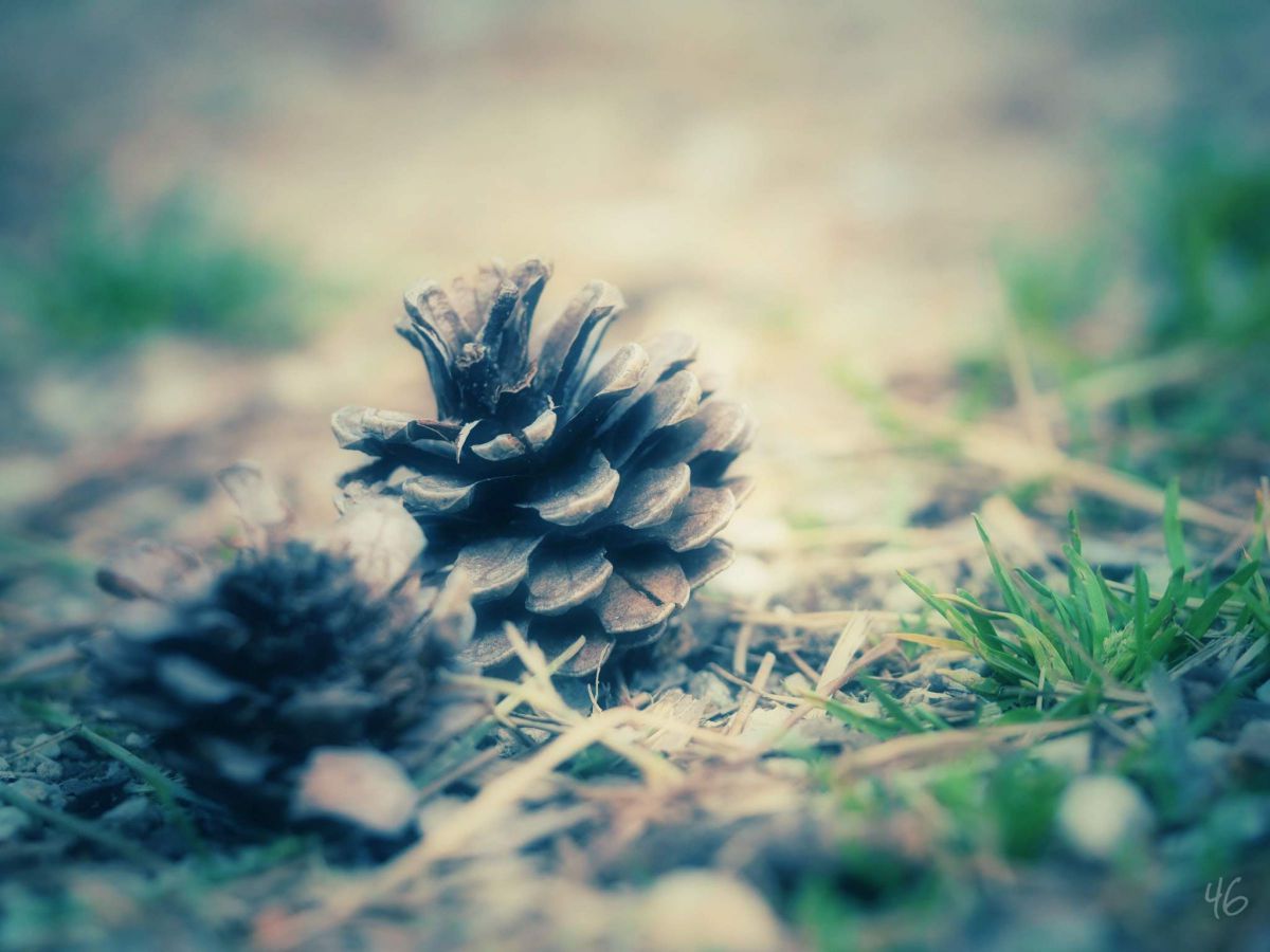 No Title ・No Caption | GANREF