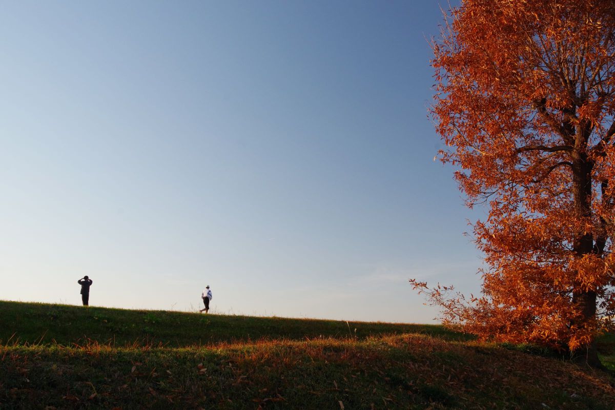 西日を受けて | GANREF