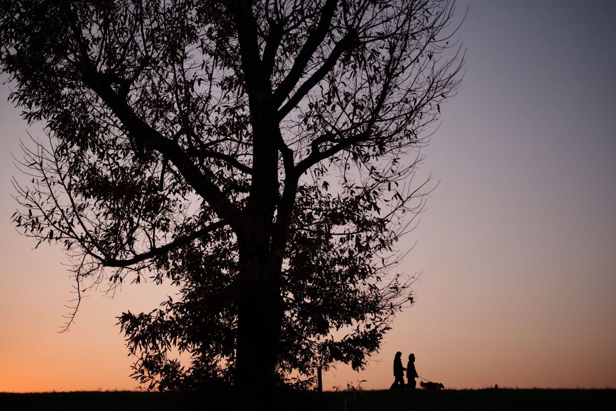 夕方の散歩 | GANREF