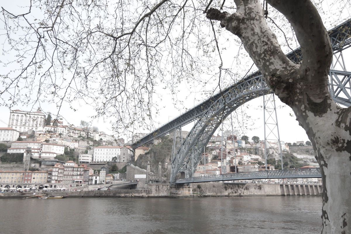 ドウロ川ほとり | GANREF