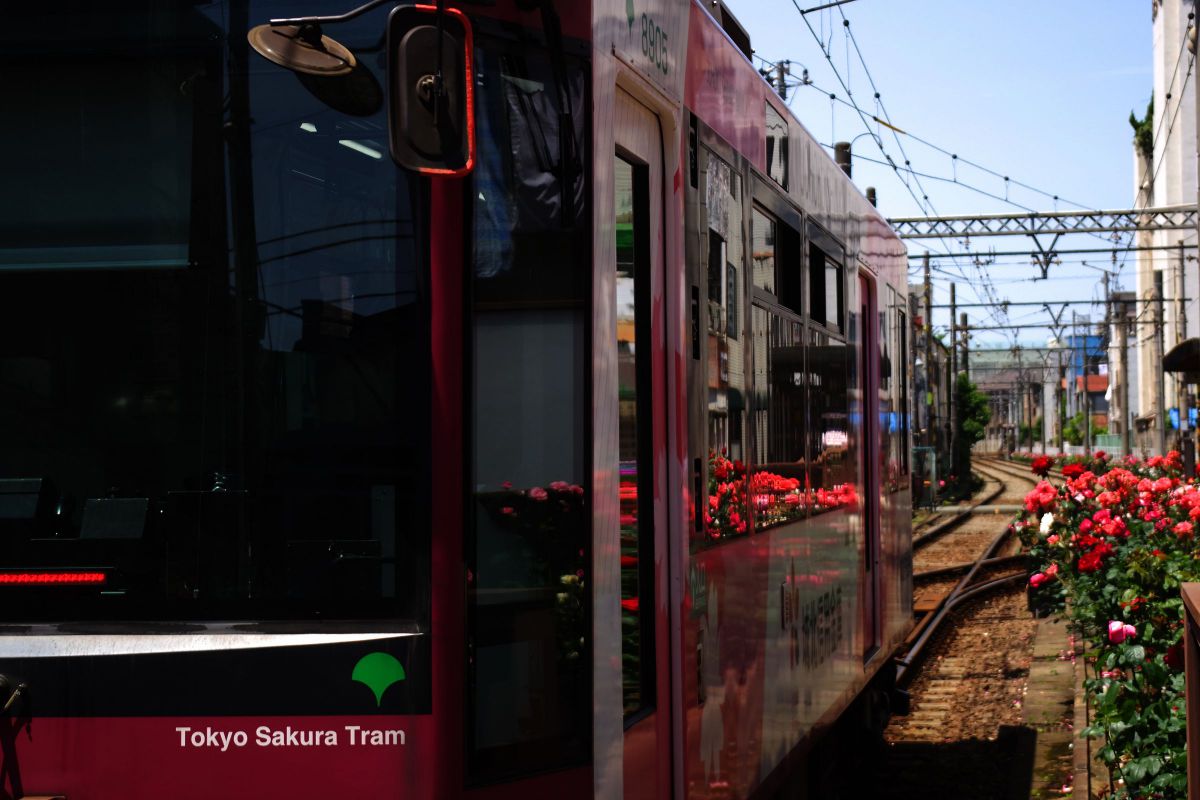 Tokyo Sakura Tram | GANREF
