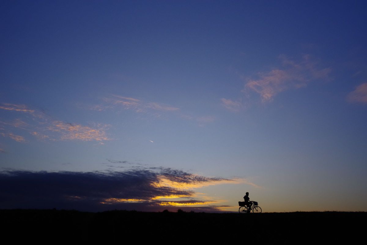 土手を行く | GANREF