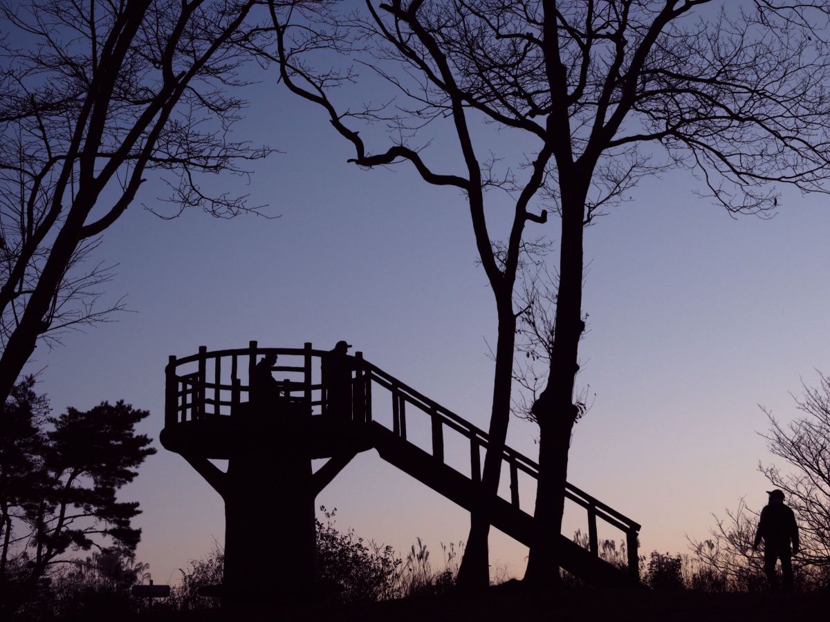 日の出前 | GANREF