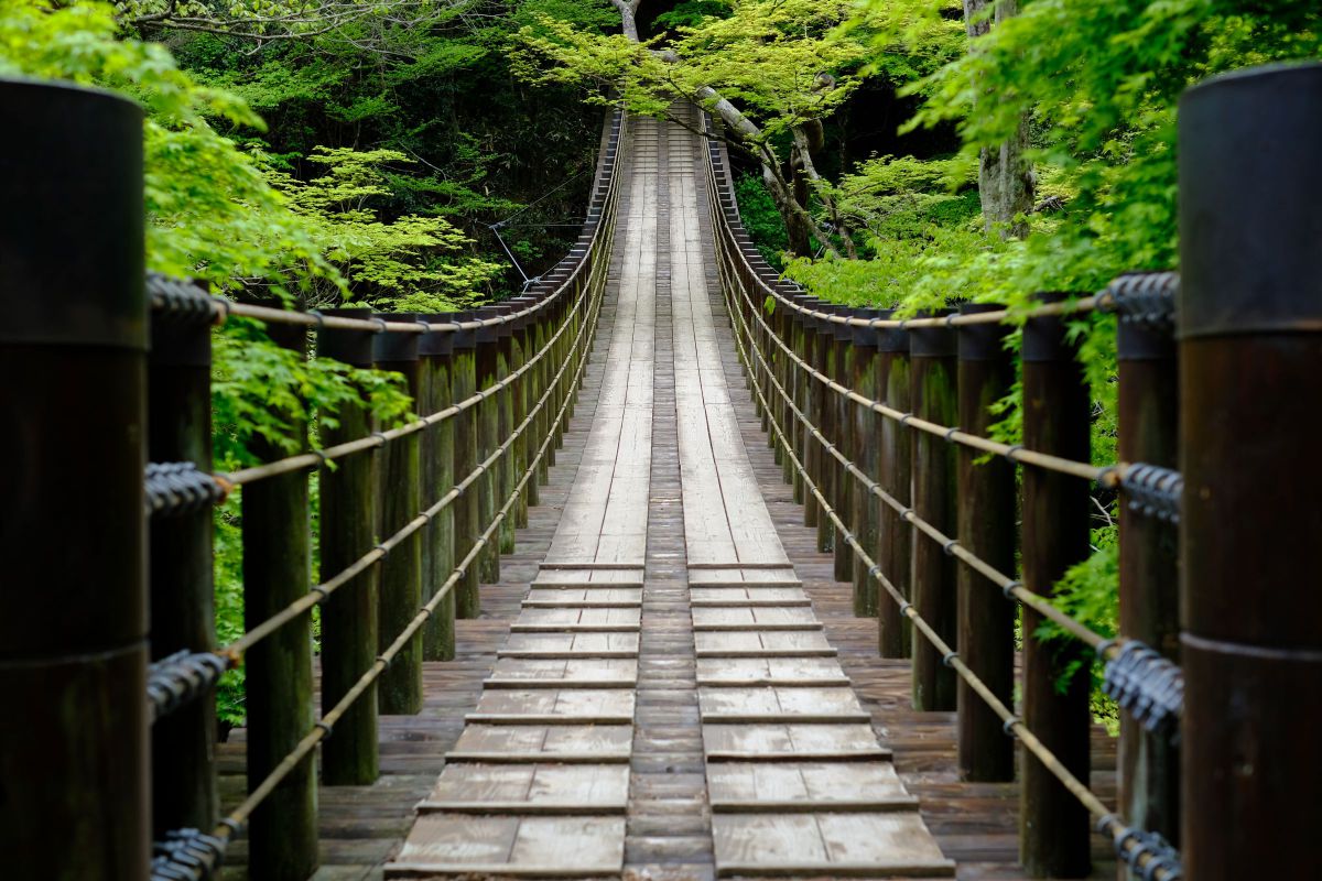 吊り橋 | GANREF