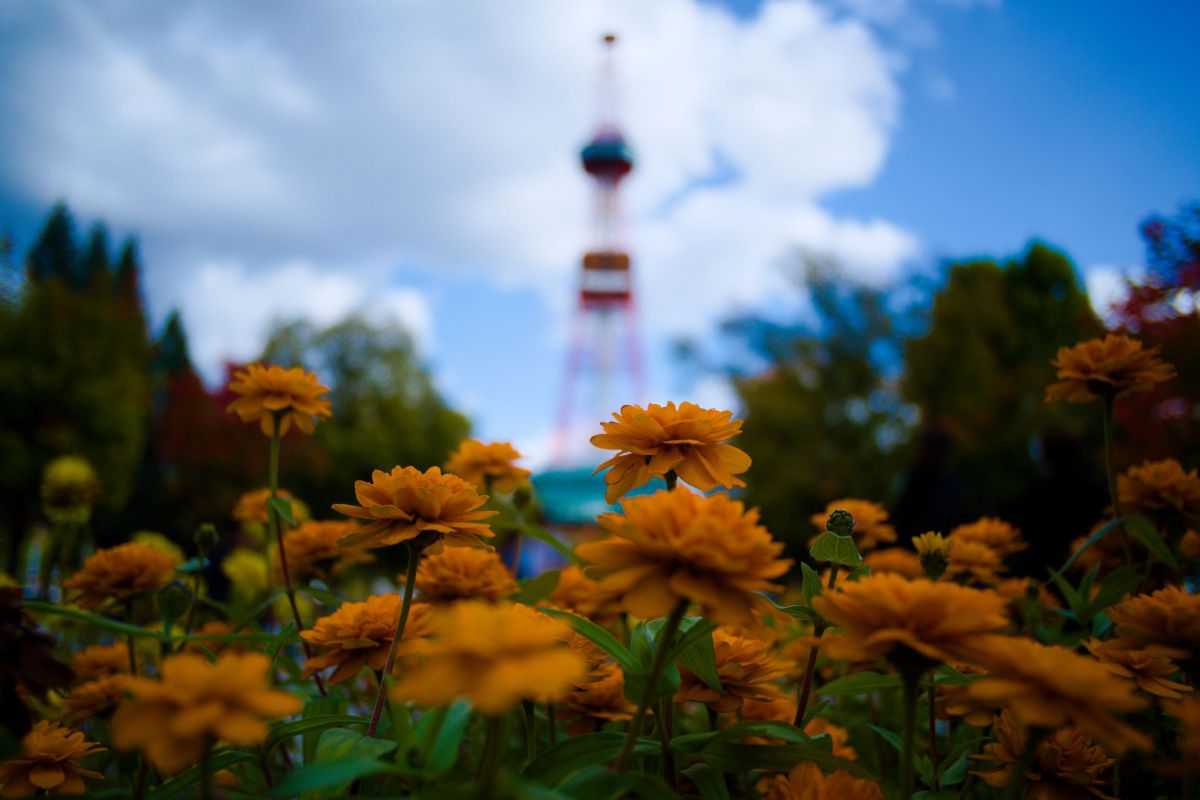 塔を見上げて | GANREF