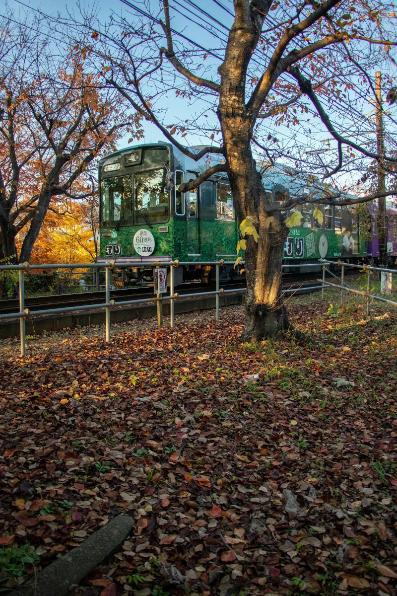 枯葉のトンネル | GANREF