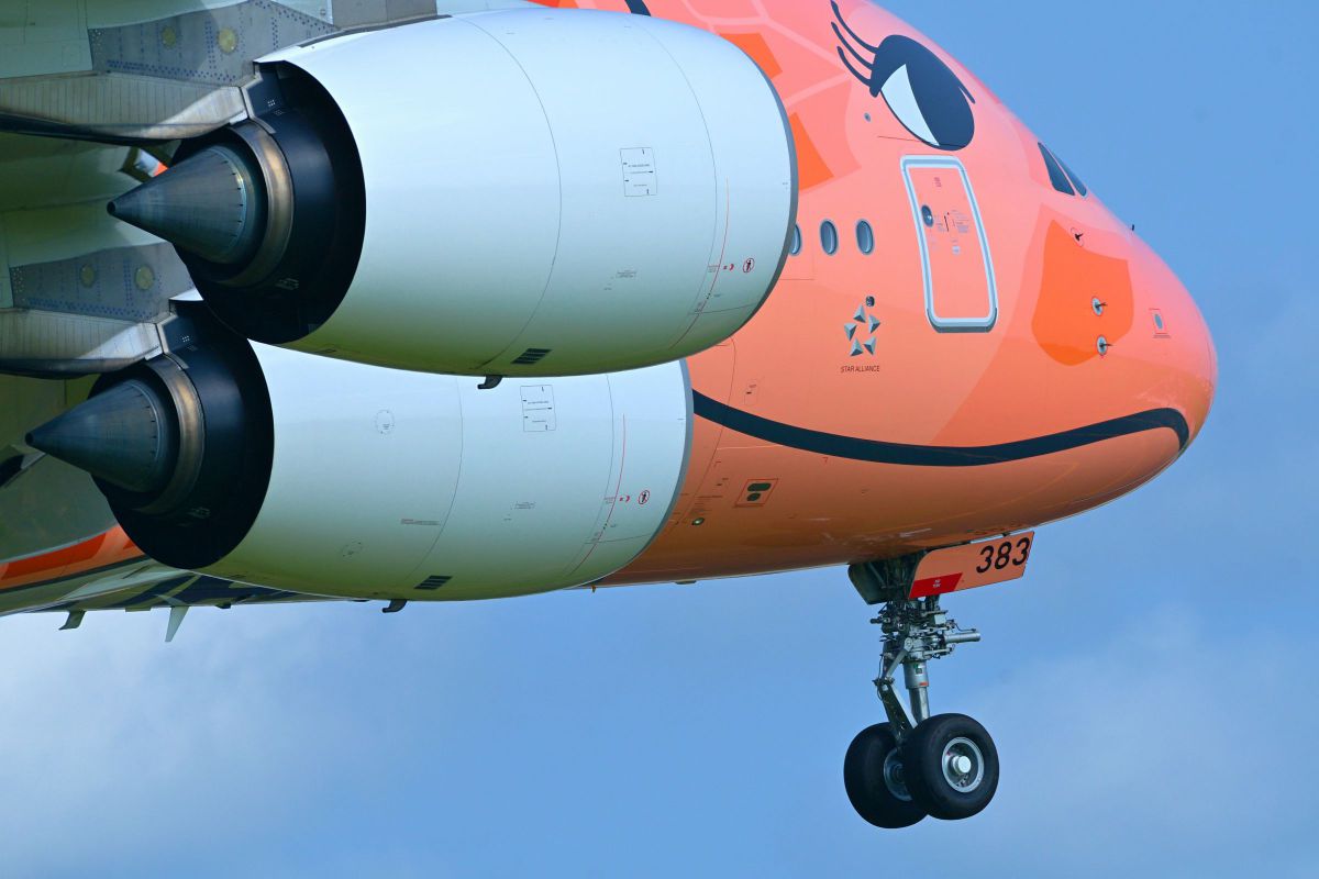 カメのエンジンは？ | GANREF