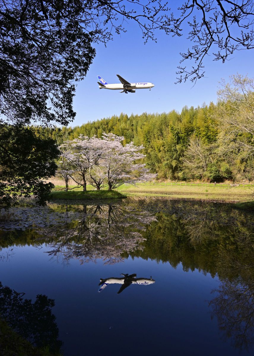 快晴・無風・満開 | GANREF