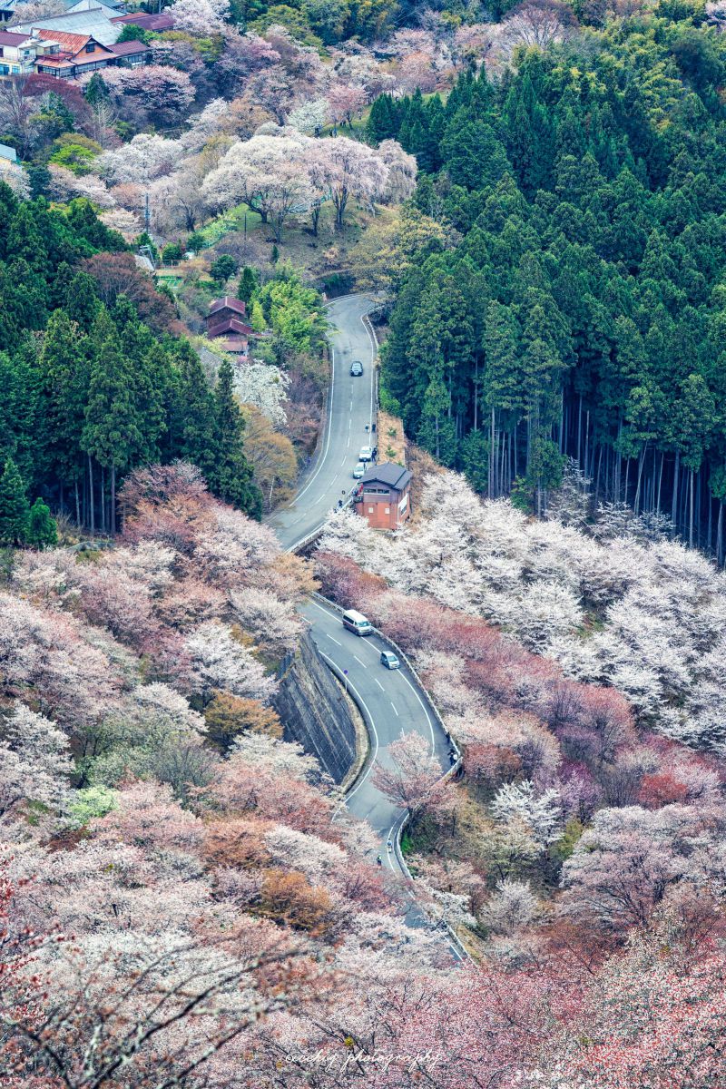 Spring Road | GANREF