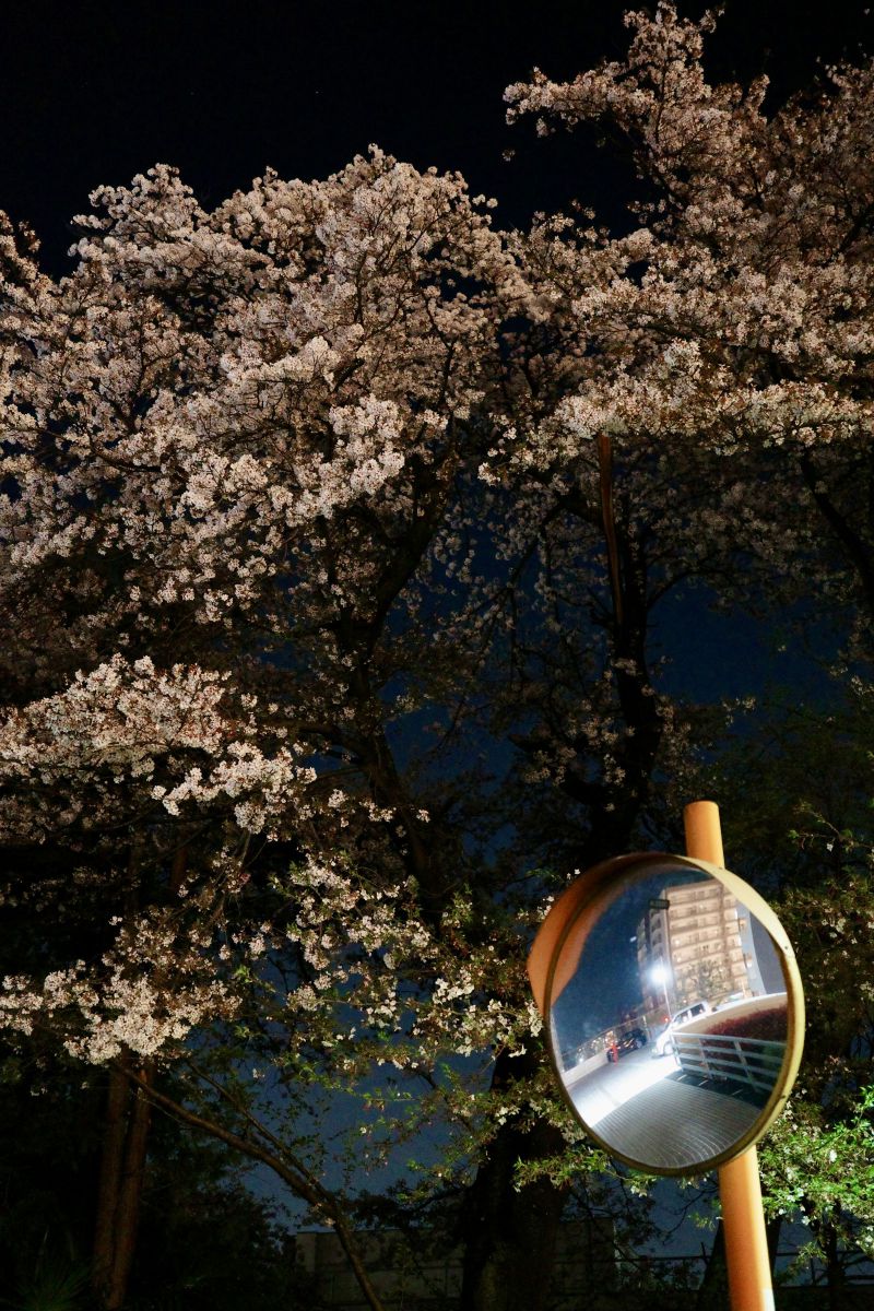 ふたつの世界 | GANREF