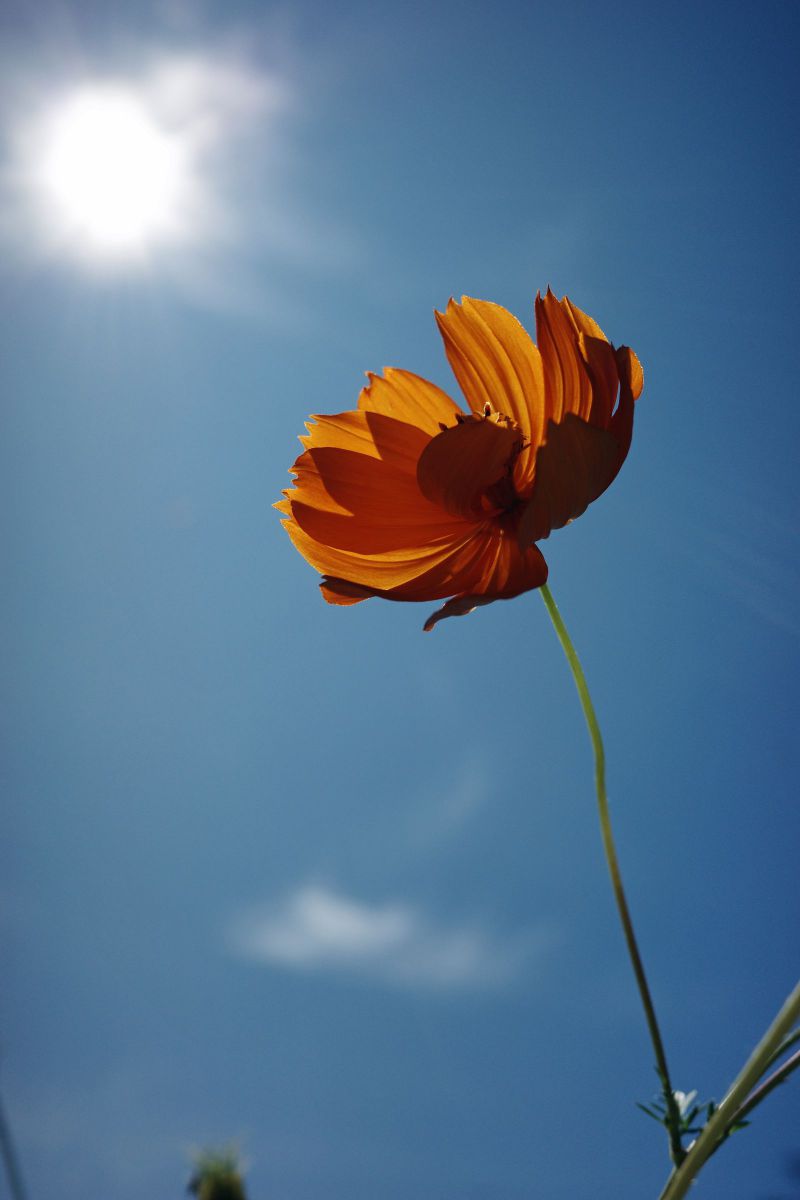 さあ！秋本番！！ | GANREF